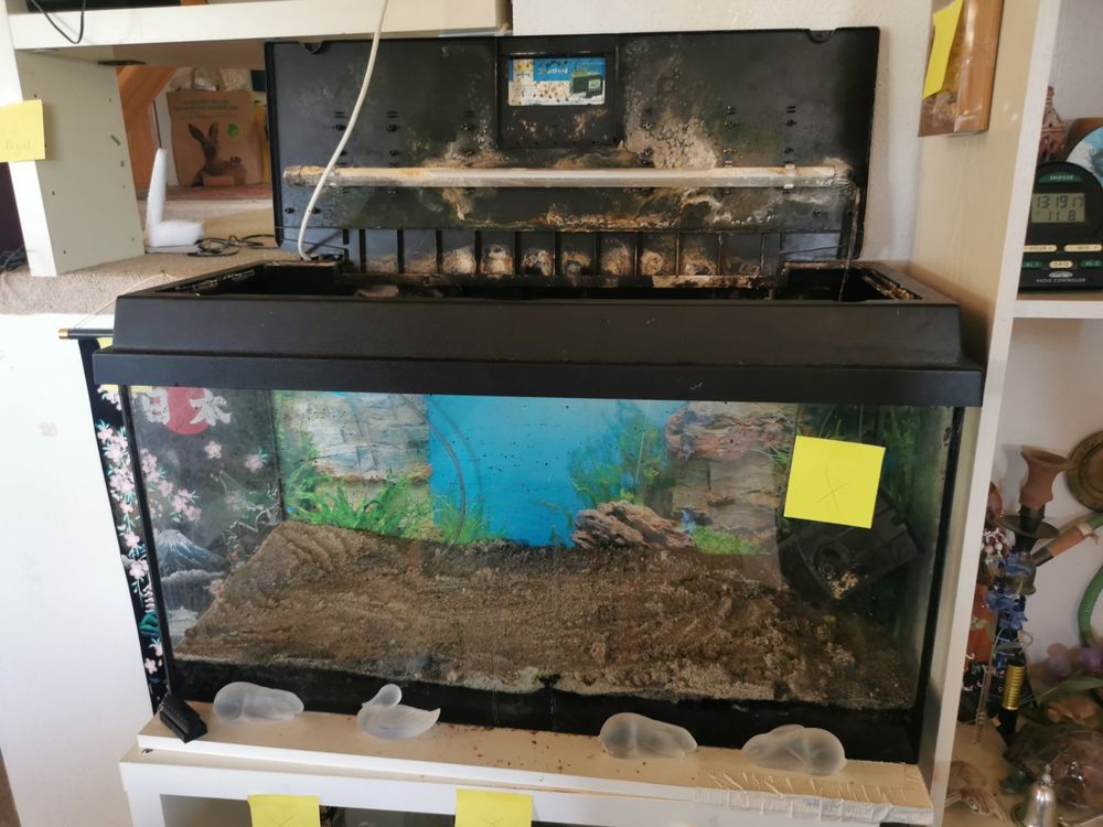 Akvarium Juwel Primolux 80 80x40x35cm (Gebraucht) in Toffen für CHF 1 ...