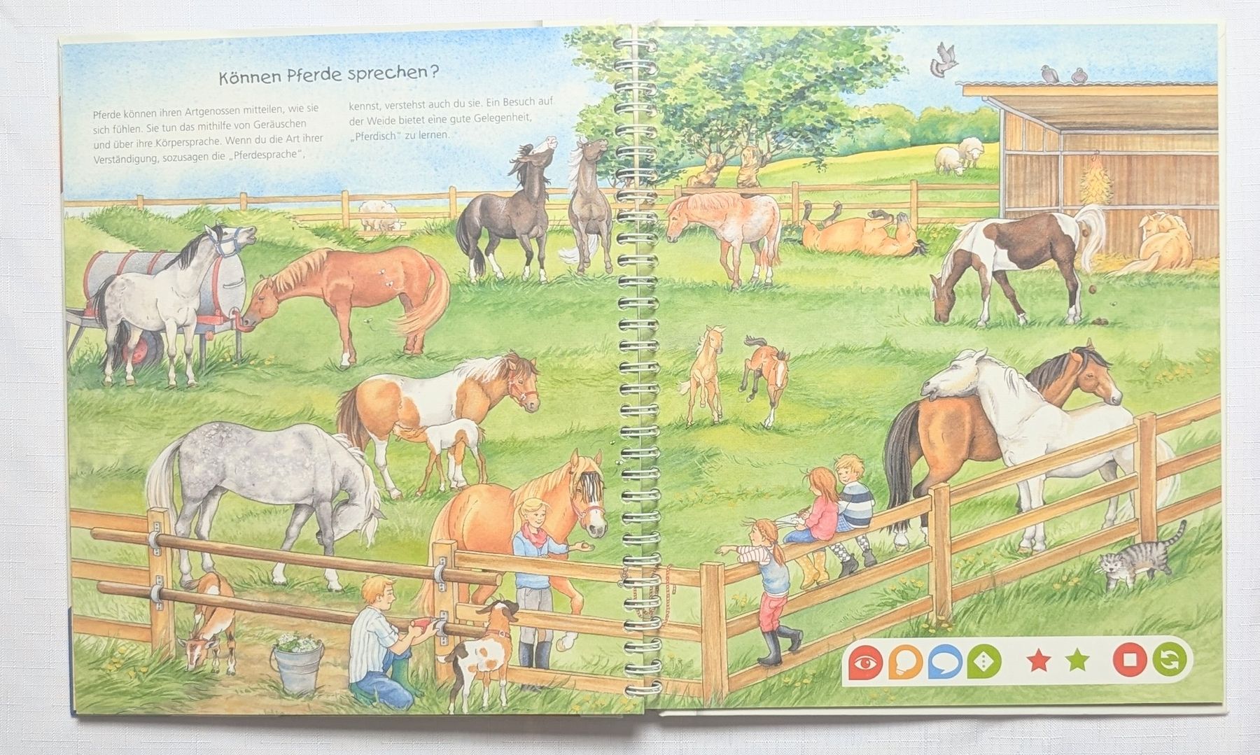 Tiptoi Buch - Die Welt der Pferde & Ponys - Band 13 (Neu (gemäss ...