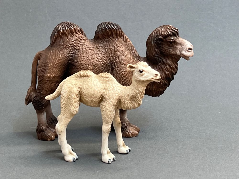 Schleich Trampeltier Kamel Fohlen | Kaufen auf Ricardo