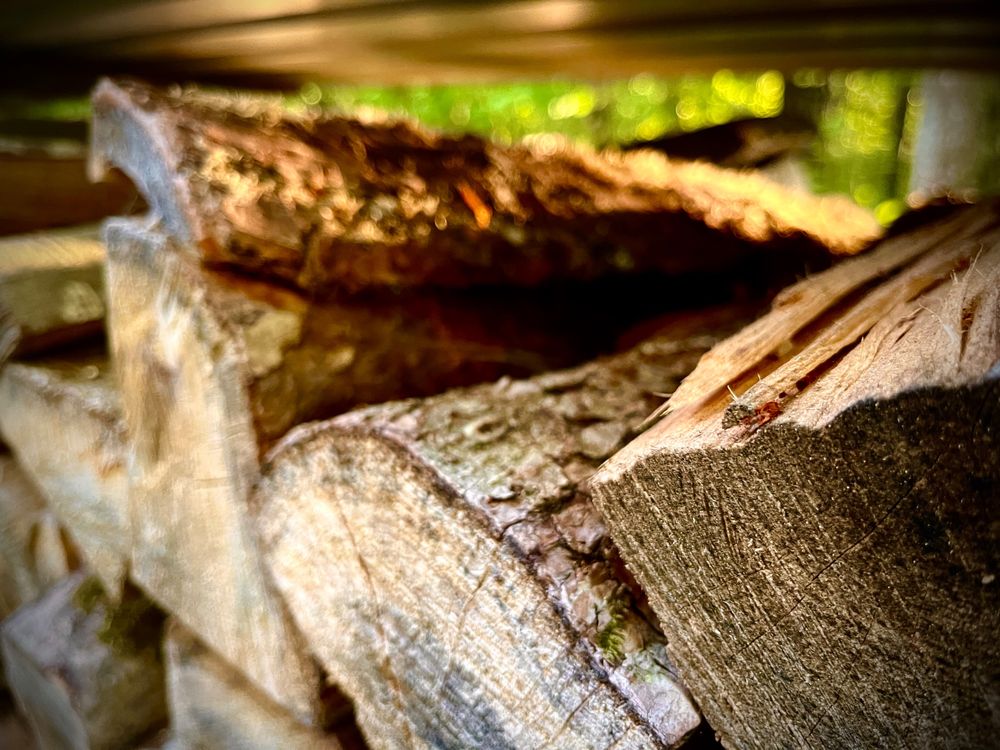 Brennholz Laubholz Region Brugg (Neu und originalverpackt) in Brugg AG für CHF 270 – nur ...