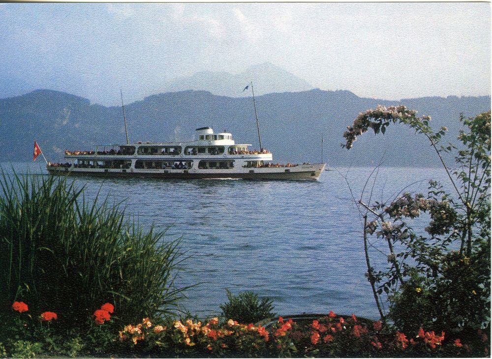 MS Schwyz, Motorschiff, SGV (Gebraucht) in Bonstetten für CHF 3 – mit ...