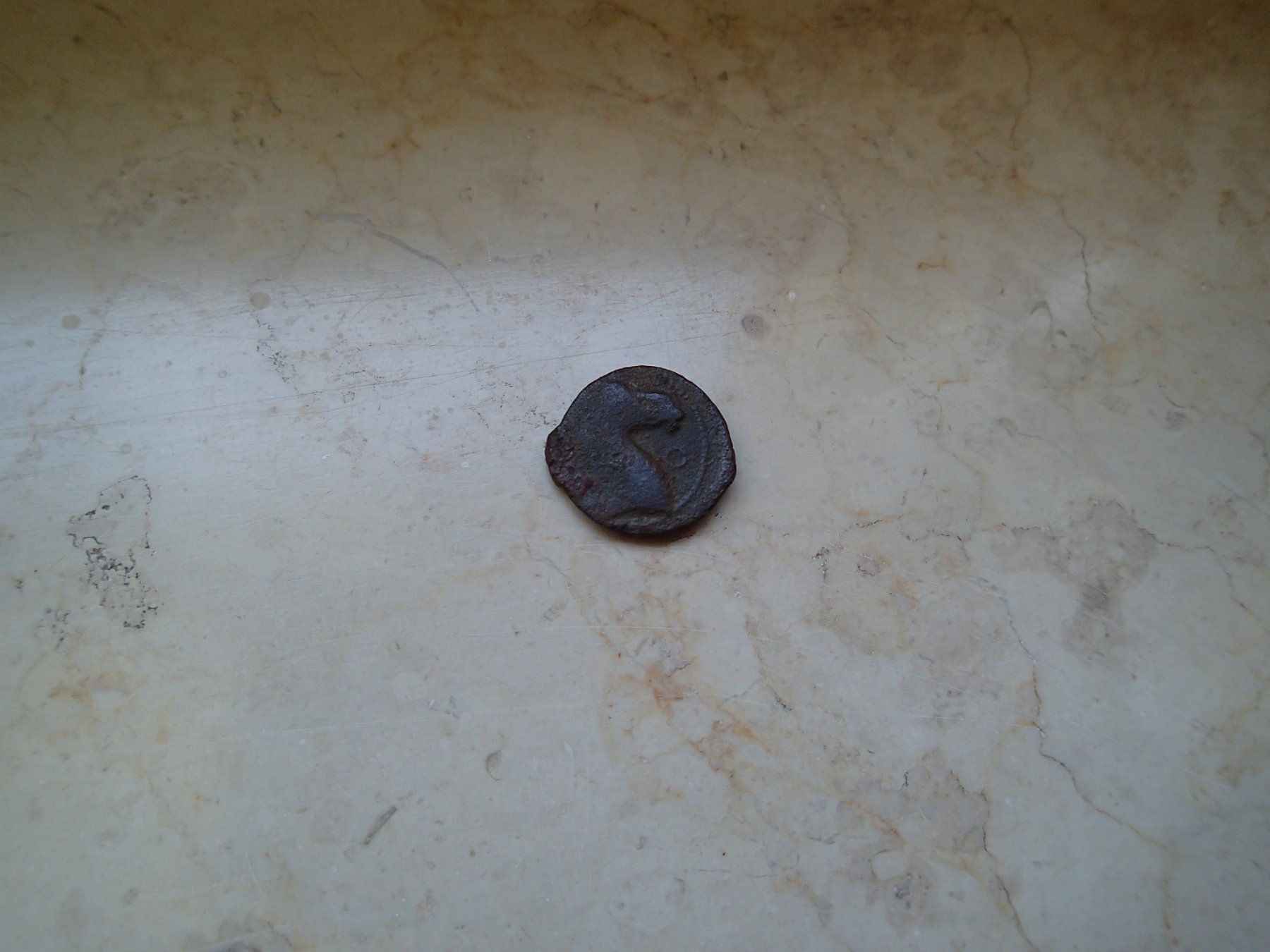 Münze Kopf von Tanit Rückseite Kopf von Pferd Karthago (Gebraucht) in ...