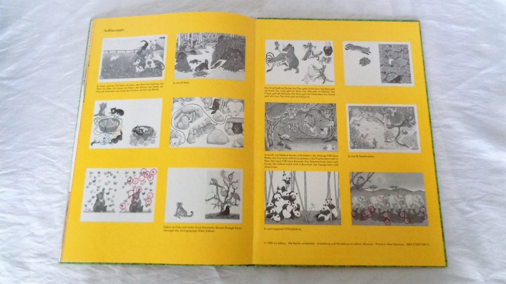 Sara Ball - Rätsel - Bilderbuch / Ich sehe was, siehst du es | Kaufen ...