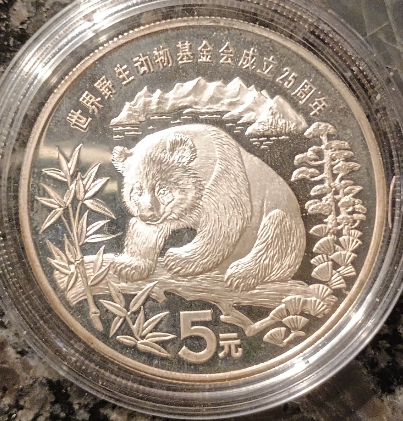 5 Yan Silbermünze 1986 China, Silber 900, China Panda 1986 (Gebraucht ...