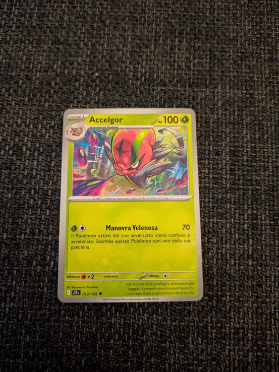 ACCELGOR, JOURNEY TOGETHER, JTG13, UNC, 2025, ITA, NM (Gebraucht) in ...