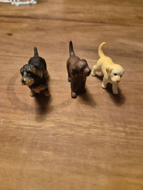 SCHLEICH (Gebraucht) in Flawil für CHF 5 – mit Lieferung auf Ricardo kaufen