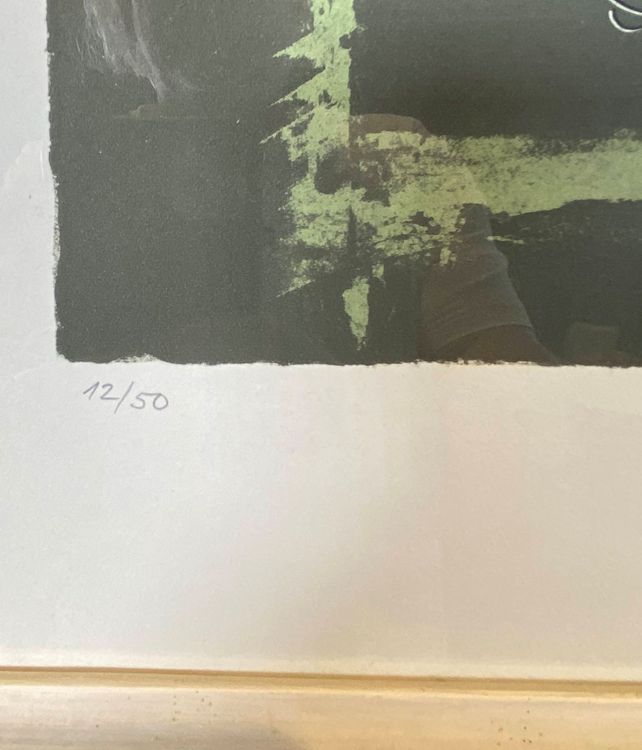 Hans Erni - Swiss Art Selection (Gebraucht) in Sursee für CHF 205 – mit Lieferung auf Ricardo kaufen