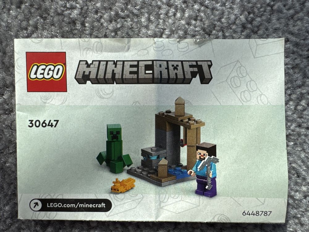 LEGO Minecraft 30647 Steve mit Creeper & Bauanleitung | Kaufen auf Ricardo