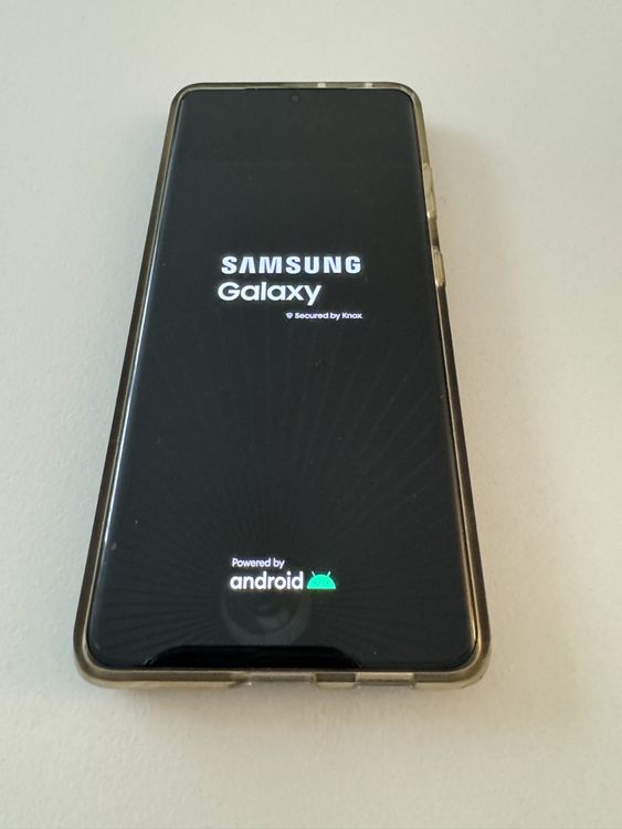 Samsung S21 Ultra 128 GB (Gebraucht) in Allschwil für CHF 294 – mit ...