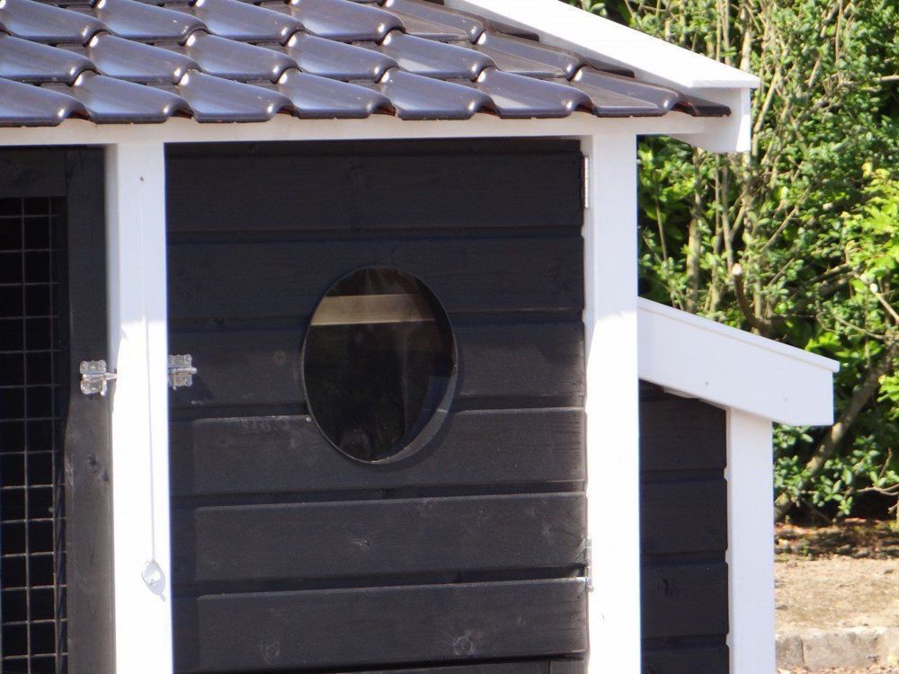 Kaninchenstall / Wachtelstall / Hühnerstall Silvan - Sanilu (Neu und ...