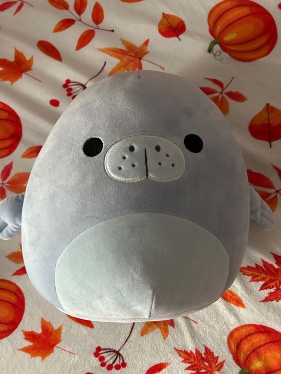 Robben Squishmallow/ Plüschtier (Gebraucht) in Ittigen für CHF 8.5 ...
