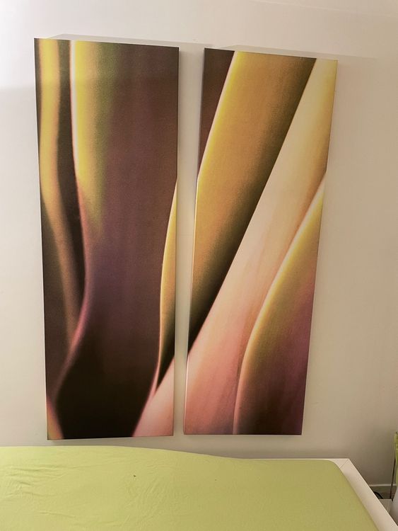 Bilder auf Leinwand | Kaufen auf Ricardo