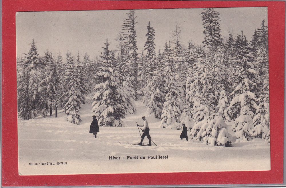 Chaux-de-Fonds - Forêt de Pouillerel - Ski de fond (D'occasion) à Orvin ...