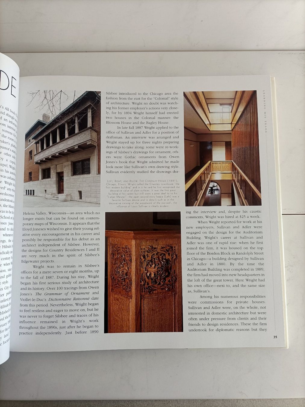 The life and works of Frank Lloyd Wright / Maria Costantino (Gebraucht ...