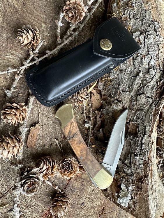 Buck 110 Messer mit Etui, Vintage Jagdmesser (Gebraucht) in Fideris für ...