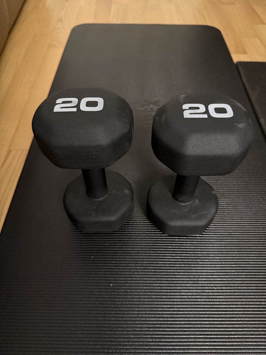 2 x 20 lb (9 kg) Dumbbell Set - Perfect for Home Workouts (Gebraucht ...
