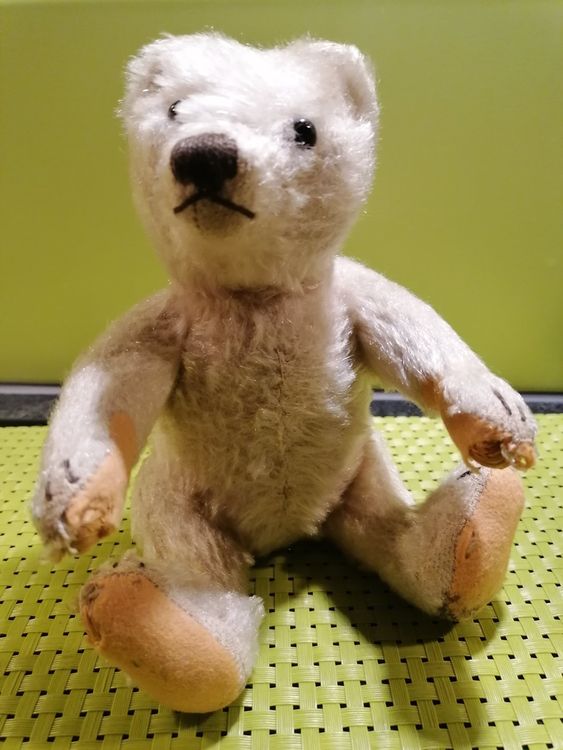 Steiff Bär weiss | Kaufen auf Ricardo