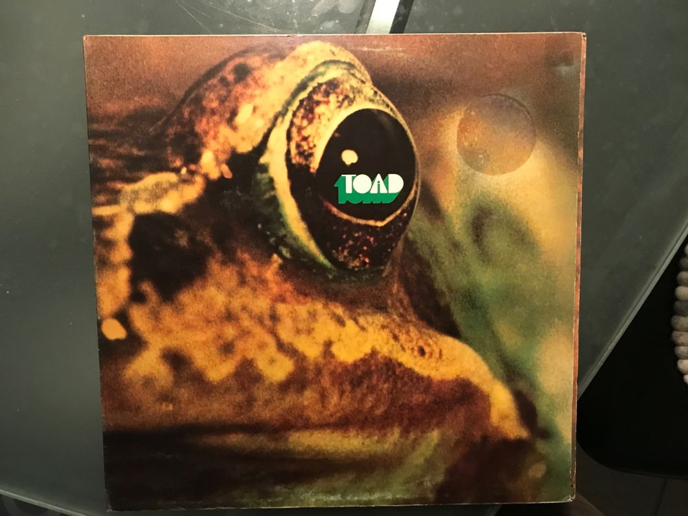 Lp - Toad X 616 _ Hallelujah / Singles Gratis dazu | Acheter sur Ricardo