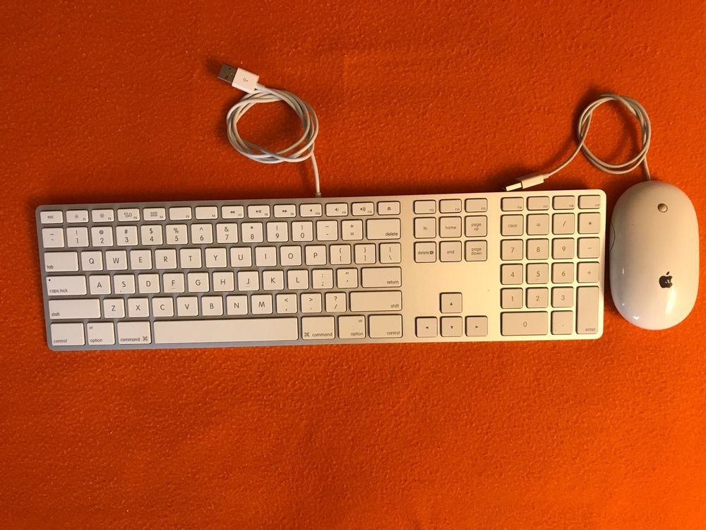Apple Keyboard + Mouse | Kaufen auf Ricardo