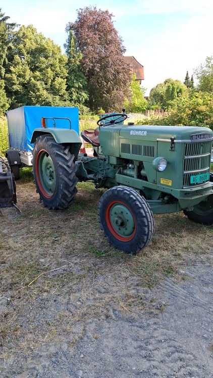 Bührer Traktor Oldtimer ZS 12 Jahrgang 1966 (Gebraucht) in Maur für CHF ...