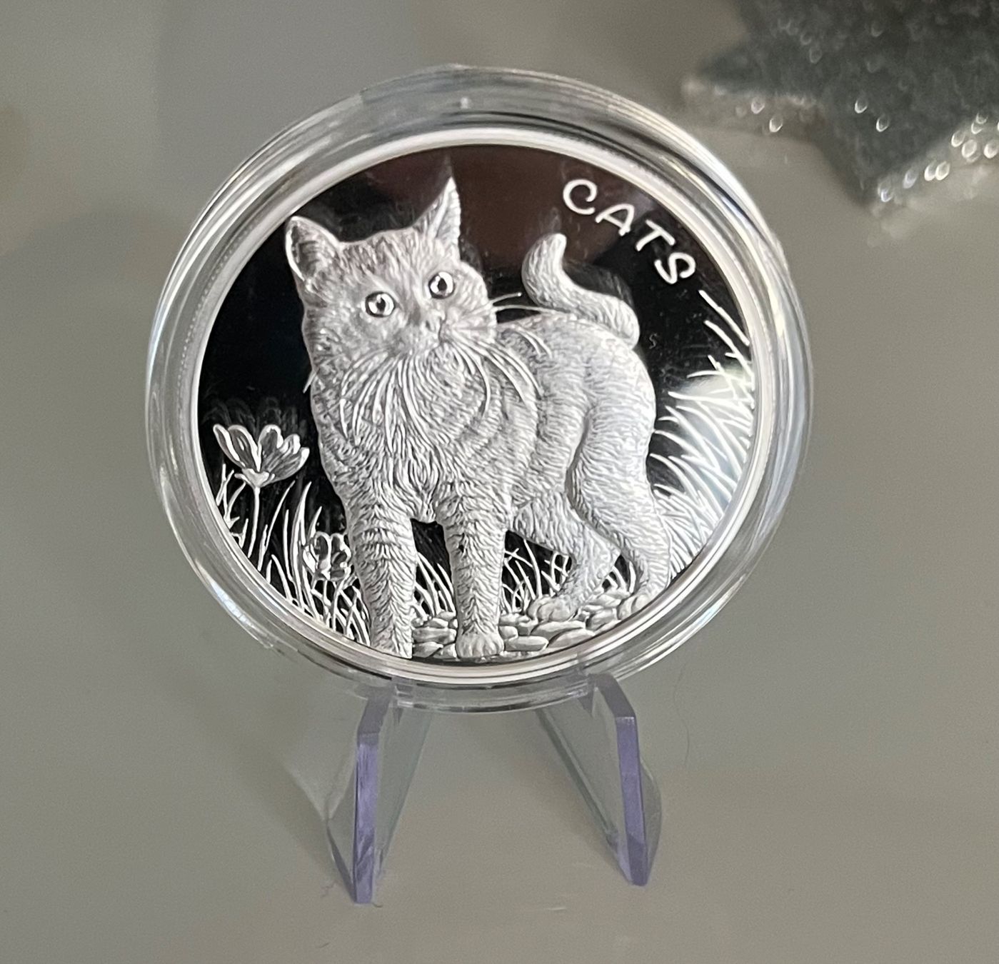 🔝 Fiji Silbermünze 2021, 1 oz Feinsilber, Sammlerstück! (Neu (gemäss ...