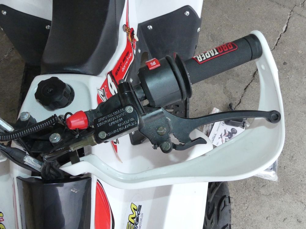 LEM Motor ATV 4 Takt 110 cc Quad (Gebraucht) in für CHF 471 – nur ...
