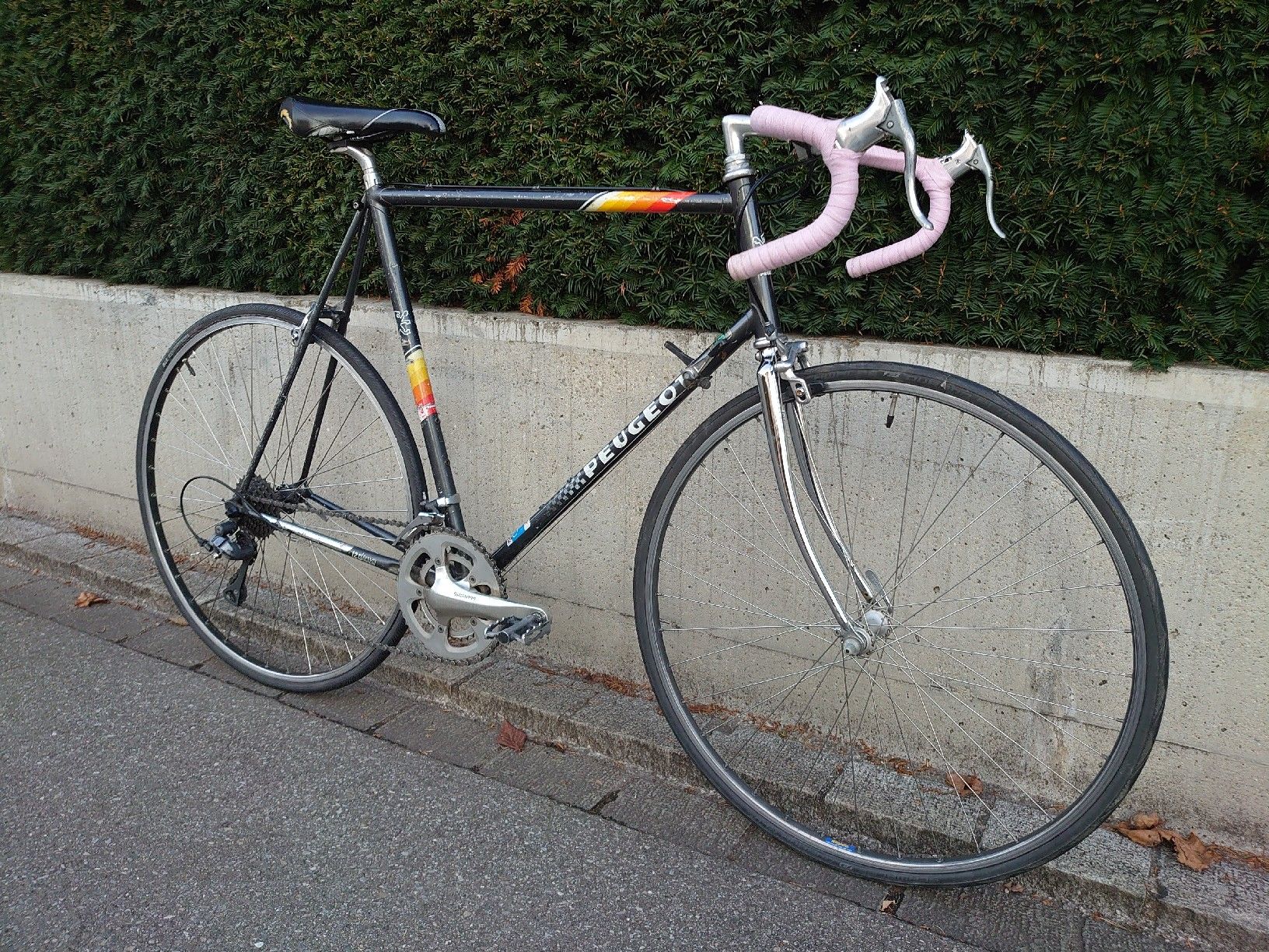 Peugeot Rennrad – Reynolds 501 – 61.5 cm – Fahrbereit (Gebraucht) in ...