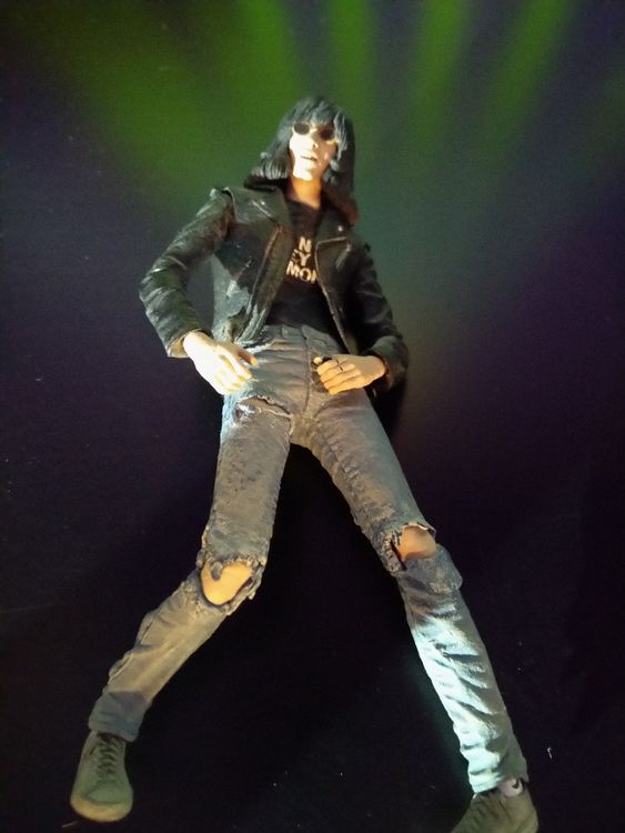 Joey Ramone Figur (Gebraucht) in Kaiseraugst für CHF 1 – mit Lieferung ...