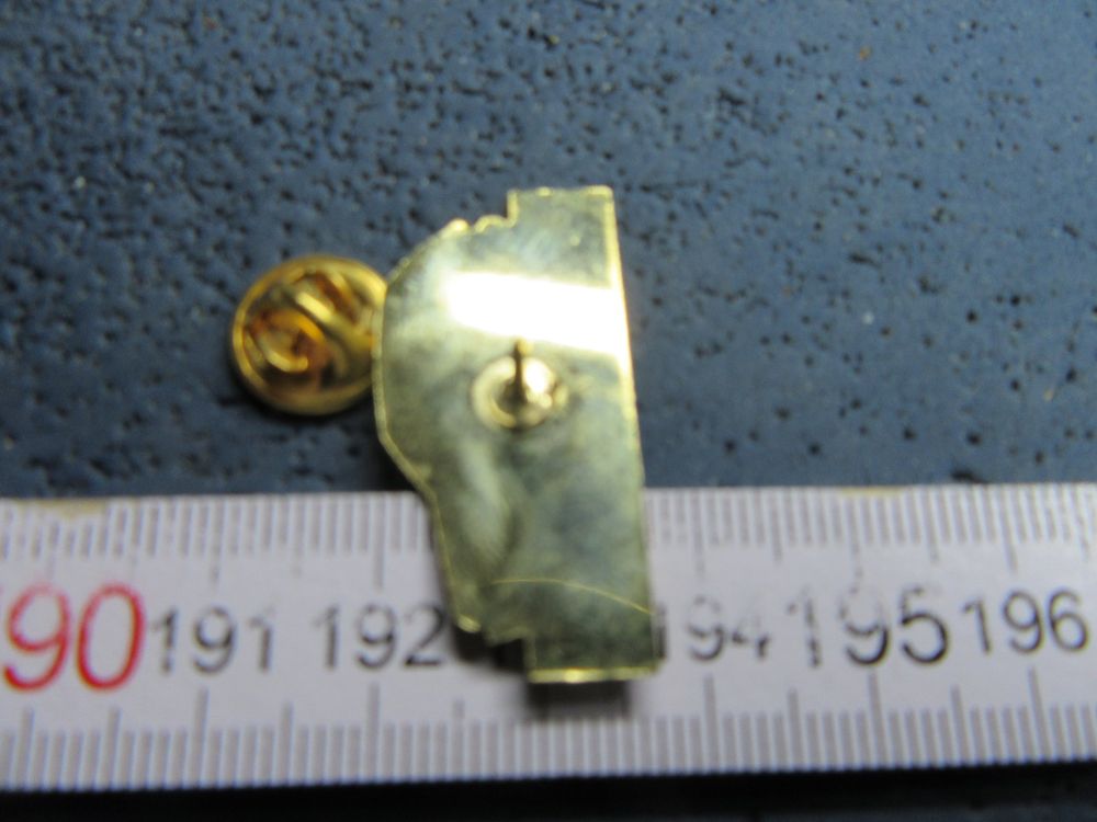 VW GOLF AUTO PIN (Gebraucht) in Ettingen für CHF 0.5 – mit Lieferung ...