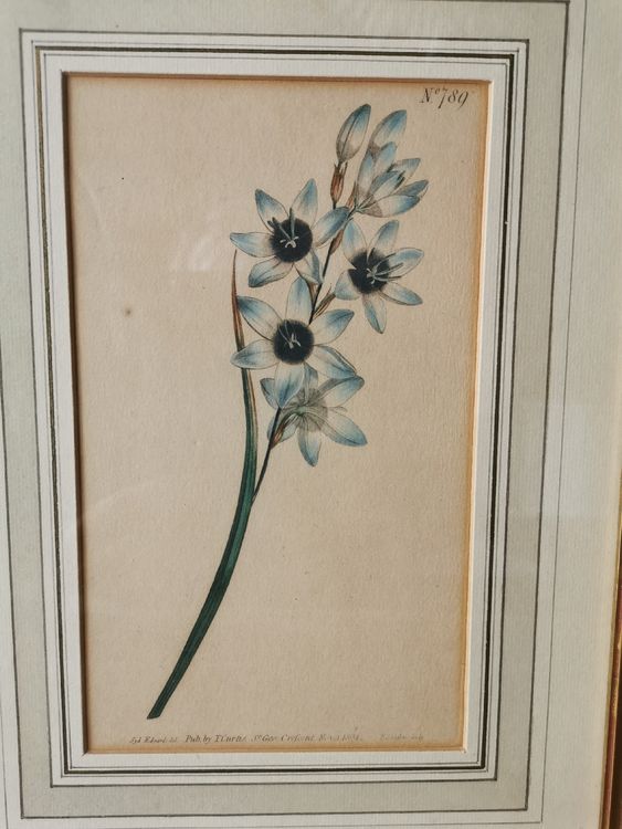 Älteres Bild. Syd Edwards (Gebraucht) in Sevelen für CHF 12 – mit ...