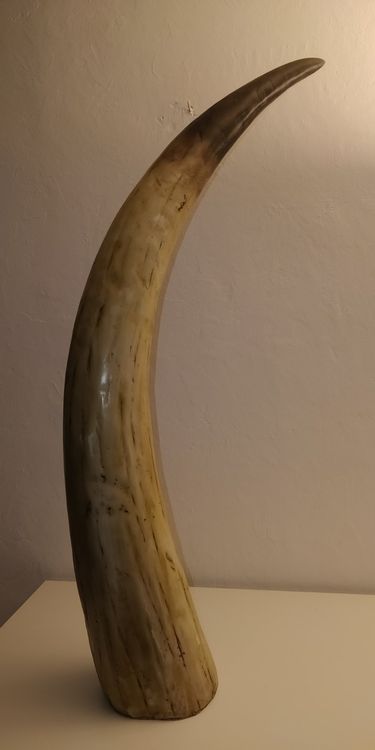Vintage Deko Elfenbein ca. 76 cm Gross - Neuwertig (Neu (gemäss ...