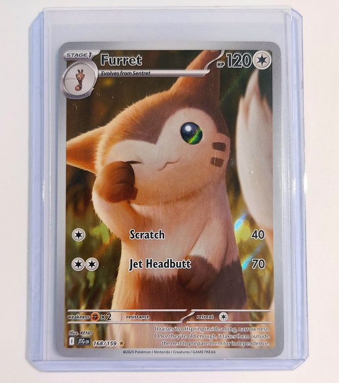 MINT POKEMON EN FURRET ART RARE KARTEN EX JTG 169 WOW!! NEU! (Gebraucht ...