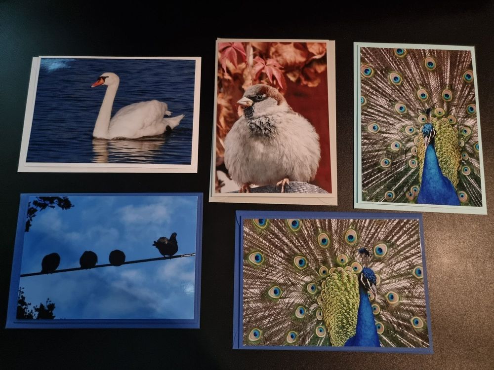 5 Karten / Motiv: Vögel (handgemacht) (Neu (gemäss Beschreibung)) in Zumikon für CHF 5 – mit ...