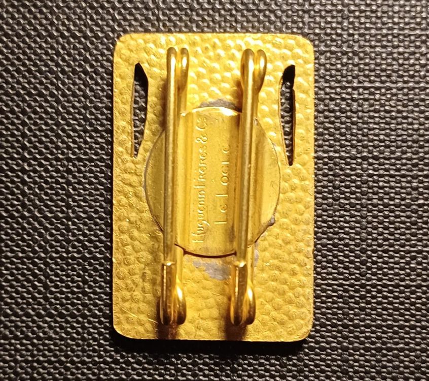 Antikes SKI CLUB DAVOS Abzeichen EMAIL Skifahren SKISCHULE (Gebraucht ...