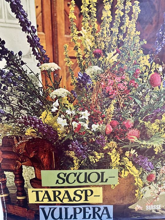 Affiche Originale SCUOL TARASP VULPERA ENGADIN (Gebraucht) in Moudon für CHF 150 – mit Lieferung ...