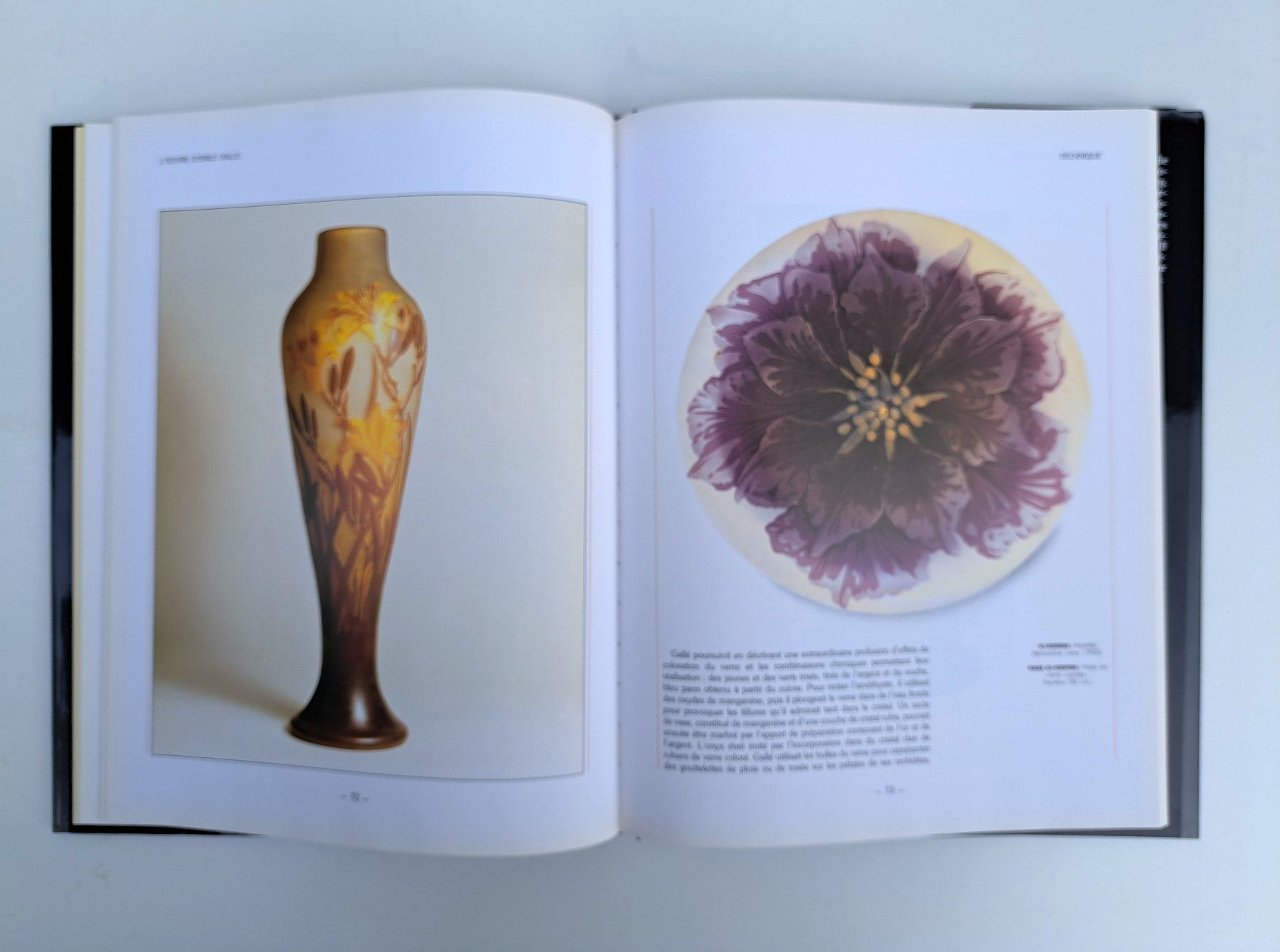 Emile Gallé Buch von Tim Newark, Glas Vase Jugendstil (Gebraucht) in ...