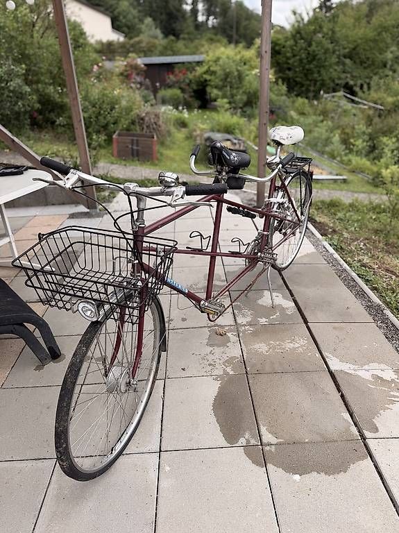 Mit dem Tandem in den Sommer (D'occasion) à Bern pour CHF 200 – retrait ...