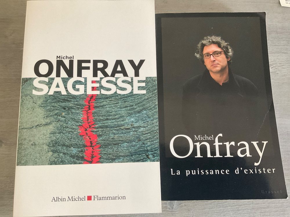 Lot 2 livres de Michel Onfray puissance d’exister+sagesse vo (Gebraucht ...