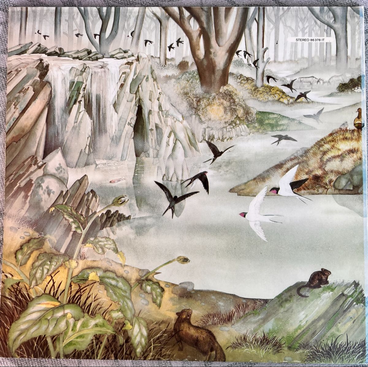 The Hollies Romany LP Platte Vinyl - Sehr gut erhalten (Gebraucht) in ...