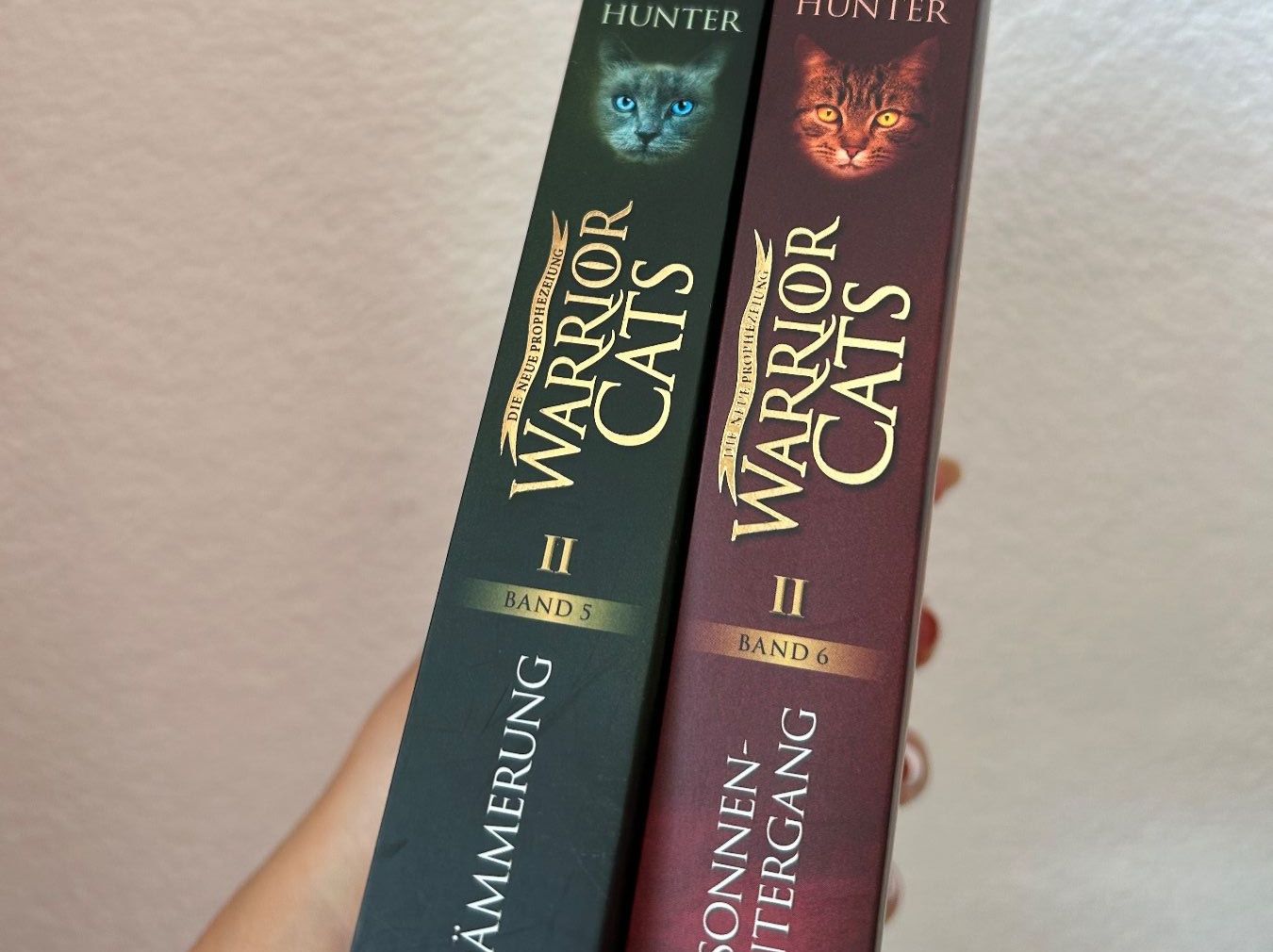 Warrior Cats Staffel II - Band 5 und 6 (Neu (gemäss Beschreibung)) in ...