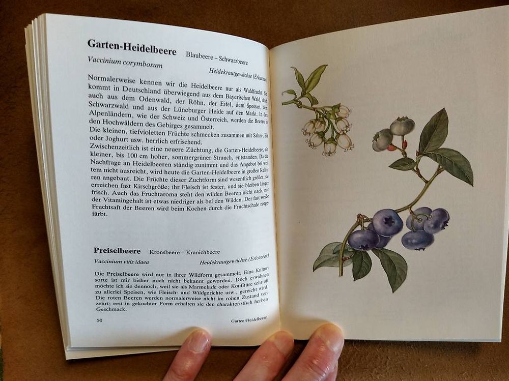 Frische Früchte aus nah und fern. Obst, Beeren + Nüsse, 1982 (Neu ...