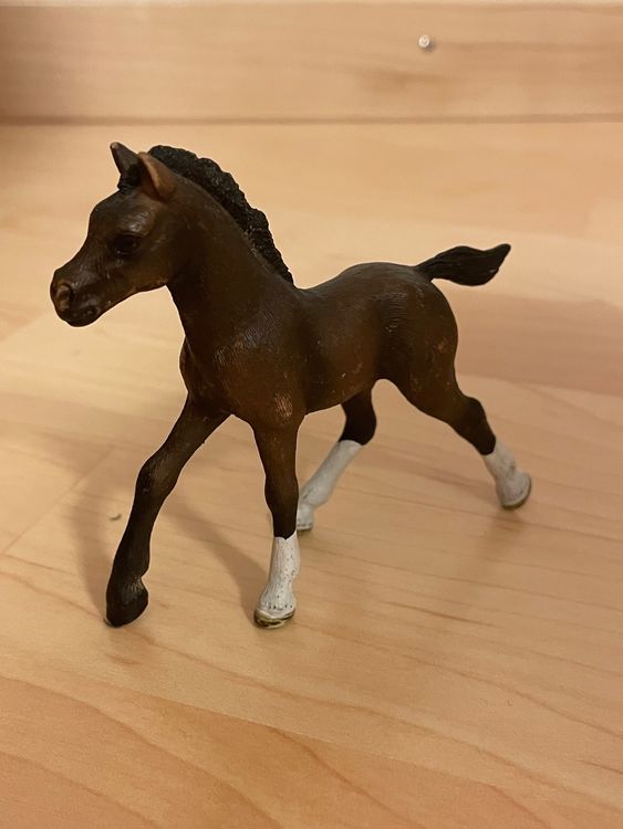 Schleich Araber Fohlen | Kaufen auf Ricardo