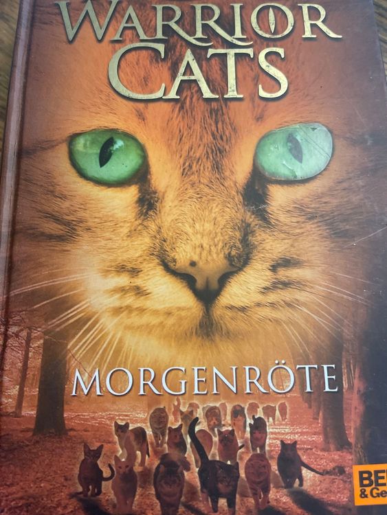 Erin Hunter: Warrior Cats: Morgenröte (8) | Kaufen auf Ricardo