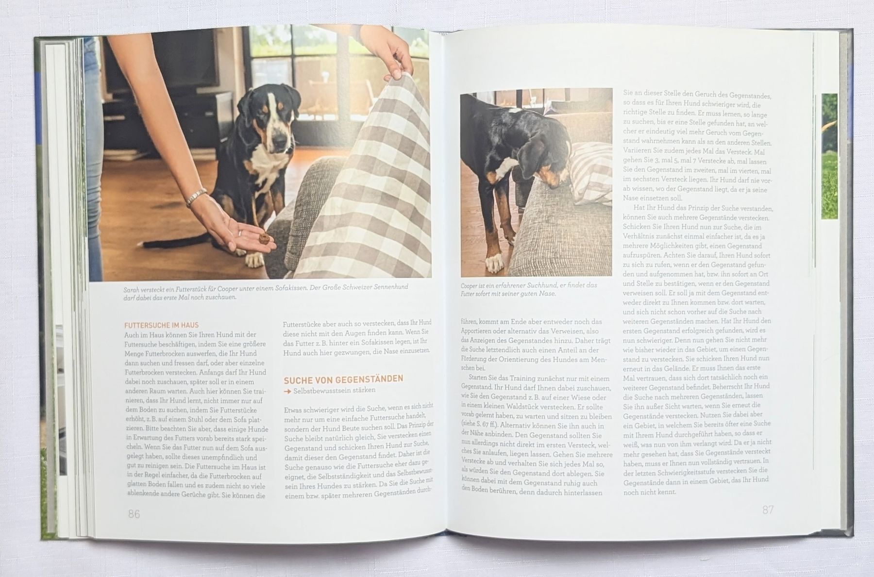 Hunde beschäftigen mit Martin Rütter - Andrea Buisman (Neu (gemäss ...