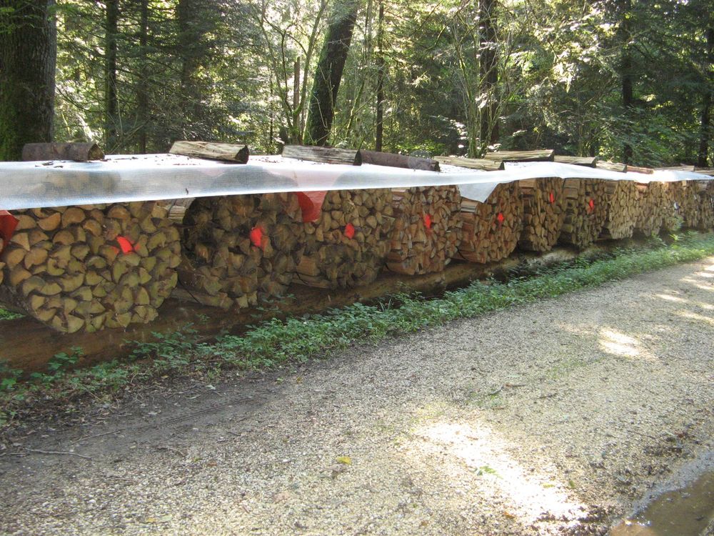 15 Ster Brennholz Tanne gebündelt (Neu (gemäss Beschreibung)) in Wiler ...