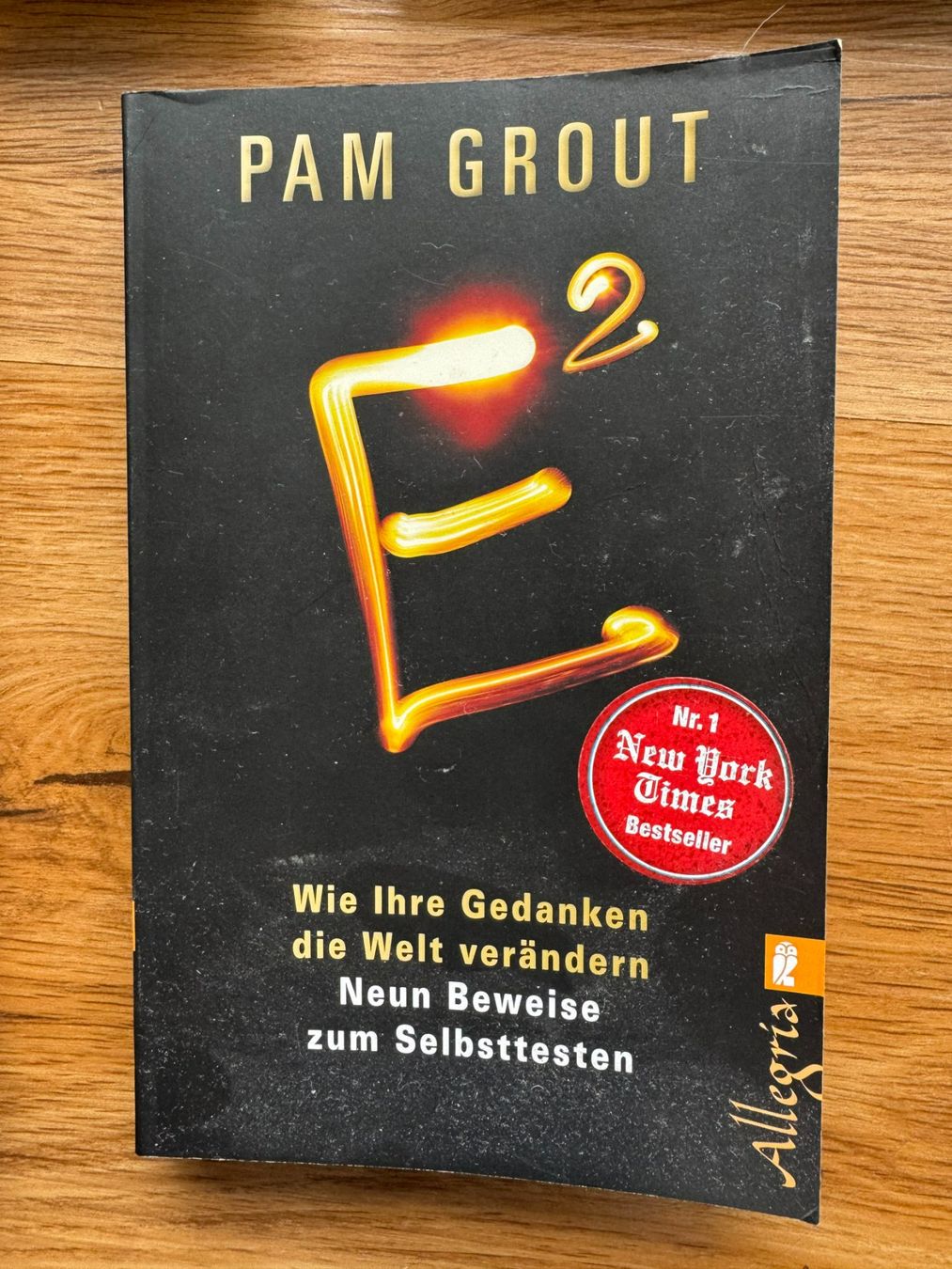 Pam Grout: E hoch 2 - Selbsttest für die Weltveränderung! (Gebraucht ...