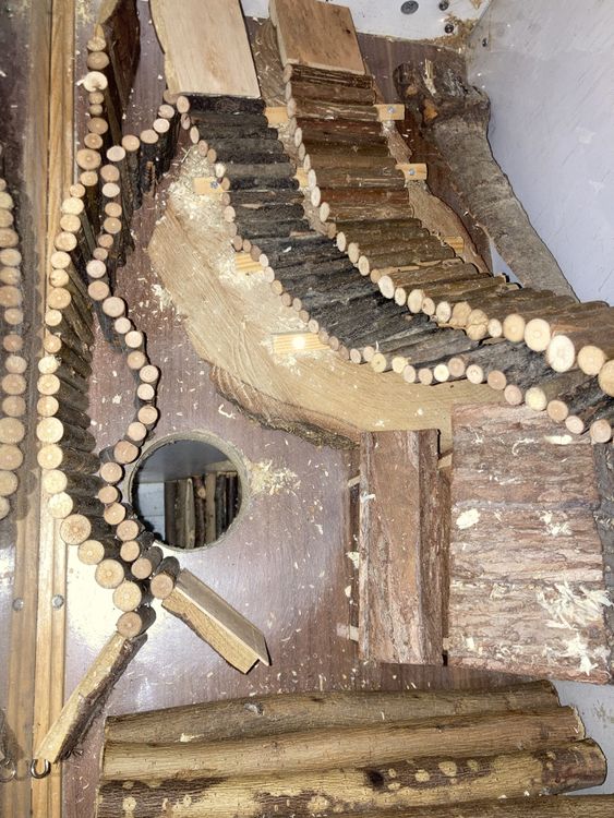 Grosser Nagerkäfig (bisher für Hamster) (Gebraucht) in Effingen für CHF ...