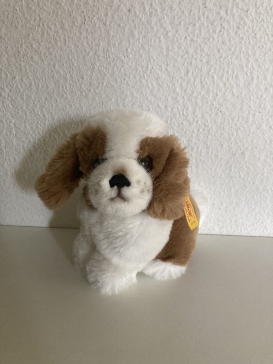 ORIGINAL STEIFF Hund (Neu (gemäss Beschreibung)) in OBERRIEDEN für CHF ...