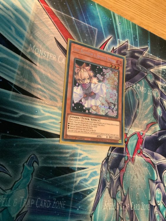 Ash Blossom & Joyous Spring | Kaufen auf Ricardo