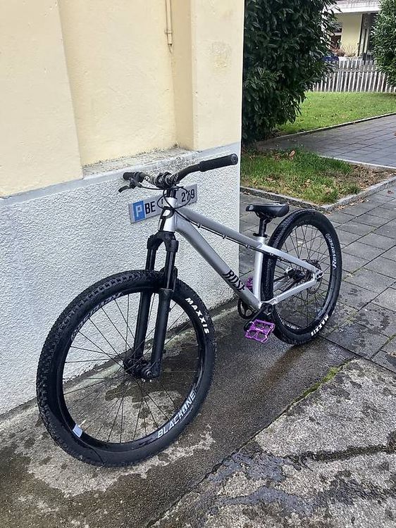 Rose Bike "the Bruce" dirt bike (Gebraucht) in Wattenwil für CHF 700 ...